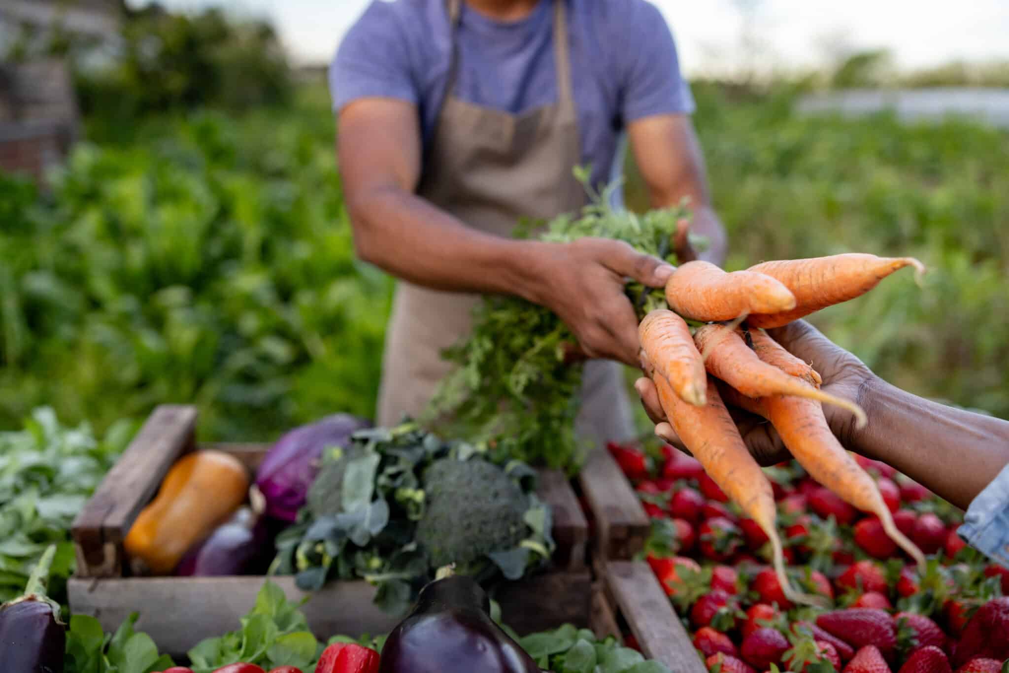 Choose from a bumper crop of fresh, tasty, locally grown produce at ...